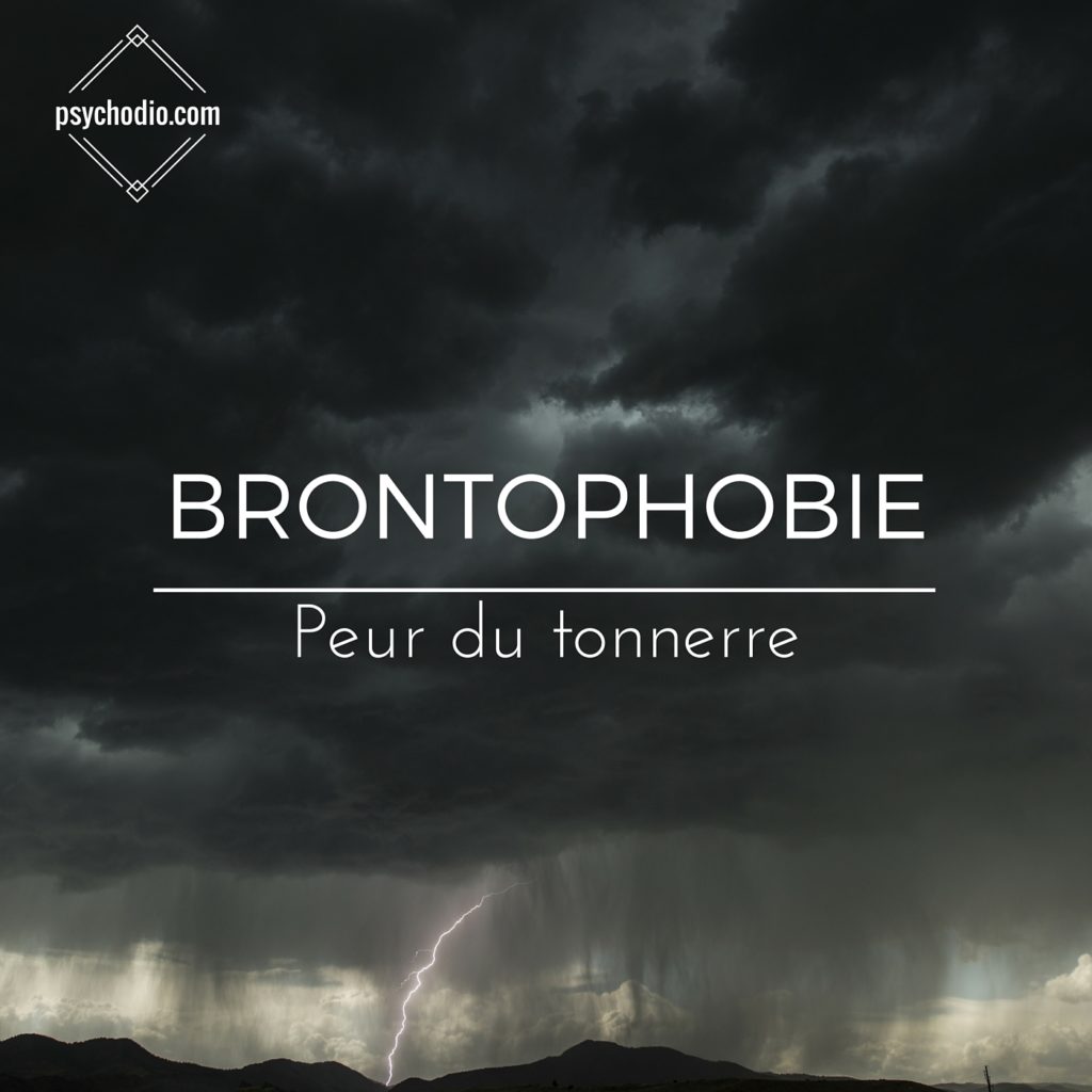 BRONTOPHOBIE - Peur du tonnerre - psychodio.com